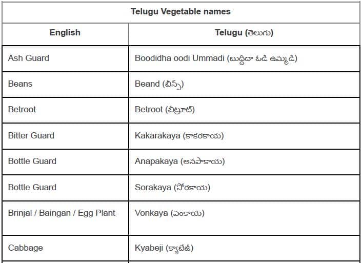  PDF Kirana Items List PDF In Telugu Panot Book