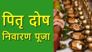 [PDF] पितृ दोष निवारण पूजा | Pitru Dosh Nivaran Puja PDF In HIndi