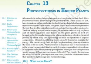 [PDF] Photosynthesis In Higher Plants NCERT PDF - Panot Book